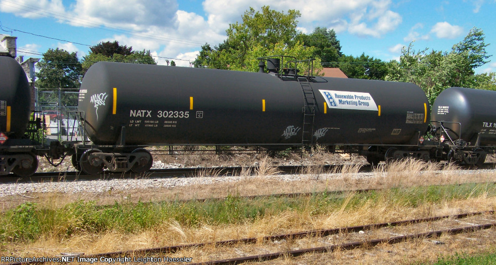 NATX 302335 in Renewable Products Marketing Group paint